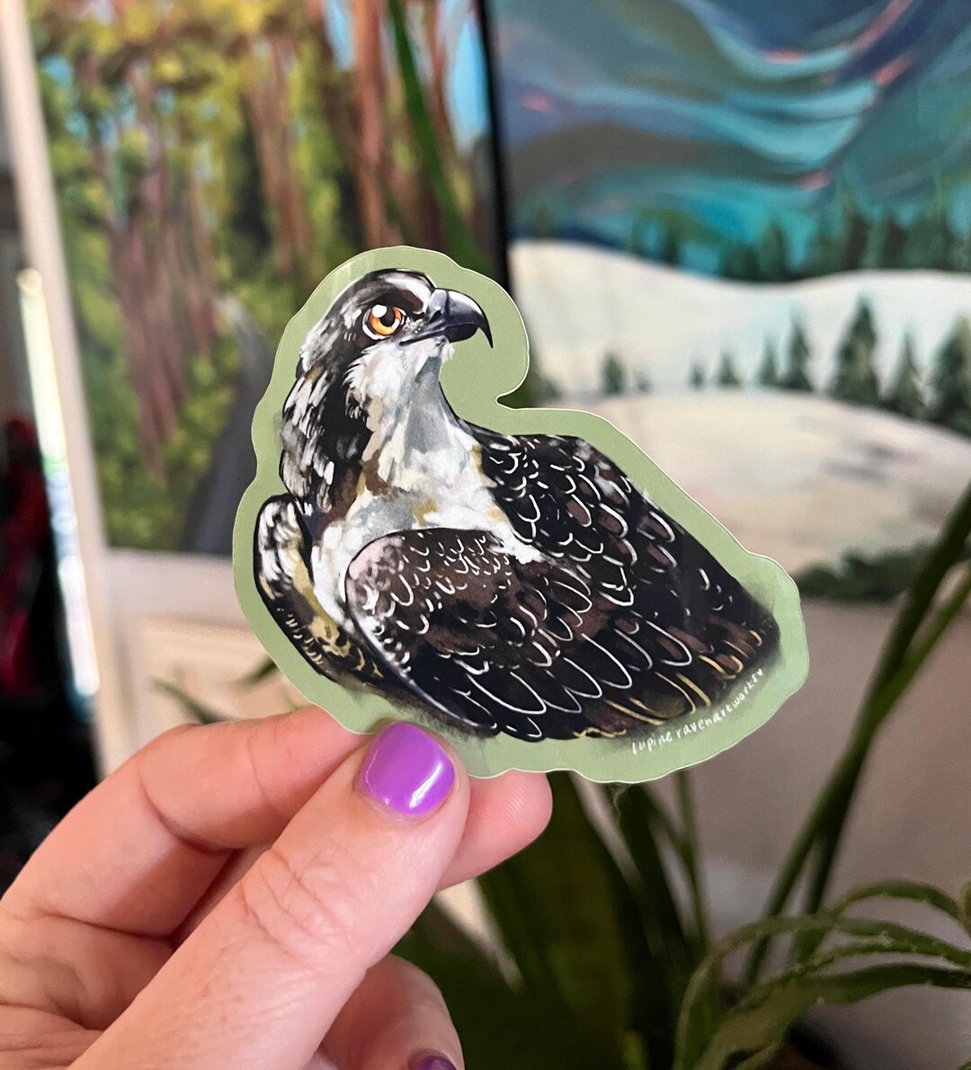 Osprey Vinyl Sticker, Osprey Sticker, Raptor Art, Birds of Prey Sticker ...