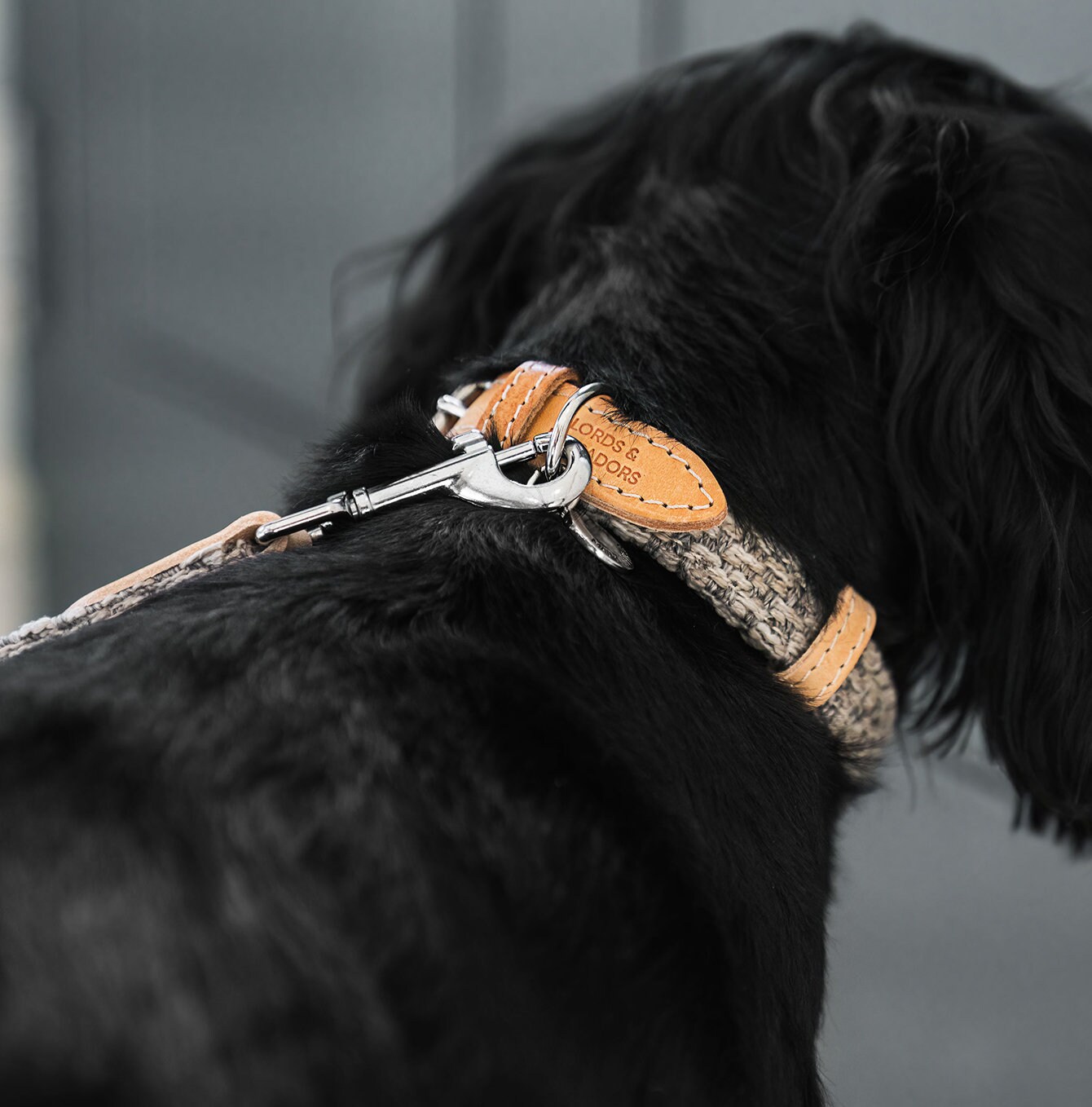 Lords & Labradors Essentials Herdwick Luxury Dog Collar | Handcrafted ...