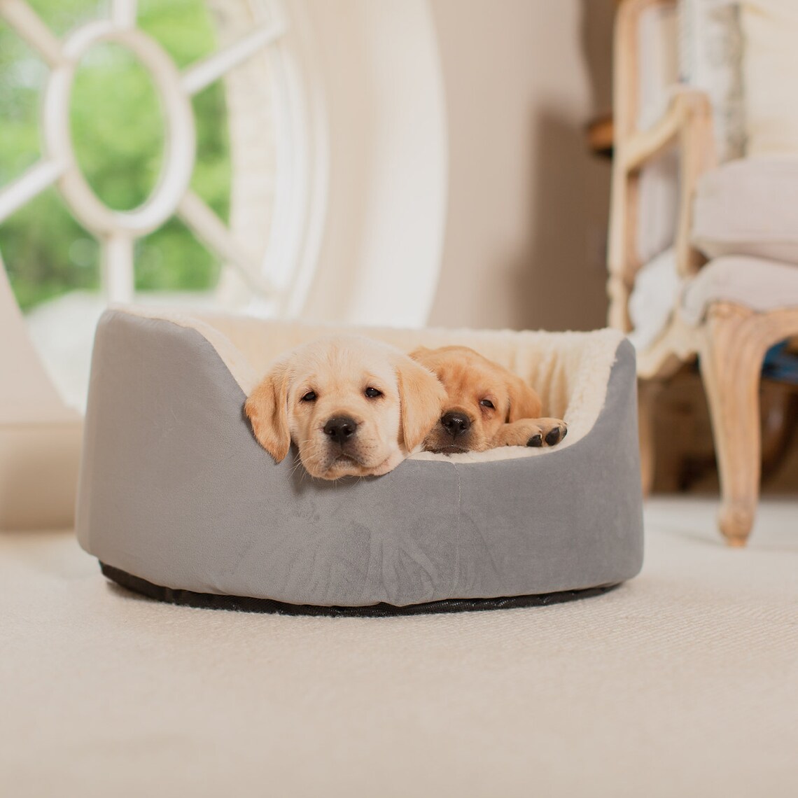 Lords & Labradors Luxury Grow With Me Dog Bed | Puppy's First Bed | the ...