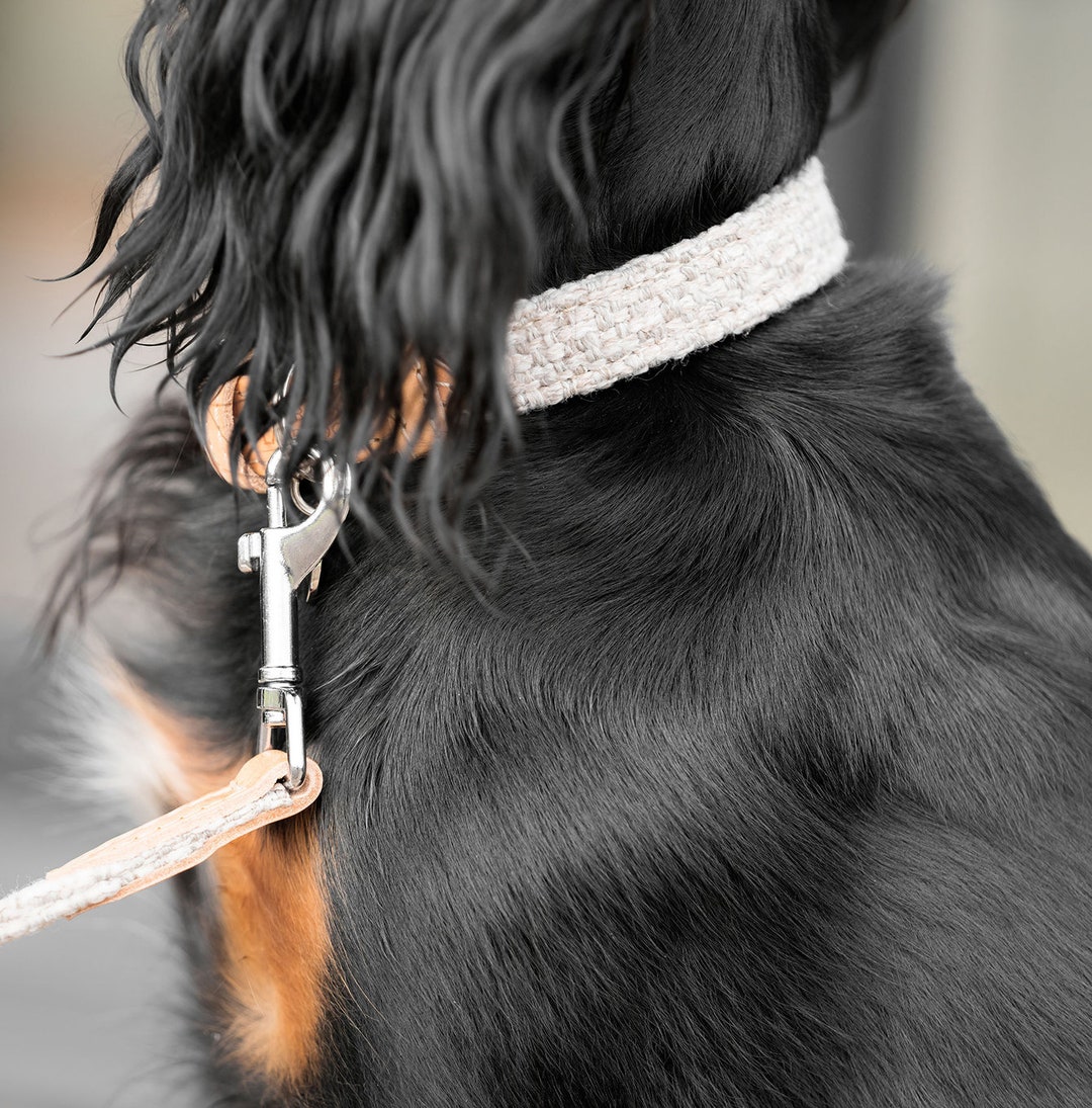 Lords & Labradors Essentials Herdwick Luxury Dog Collar | Handcrafted ...
