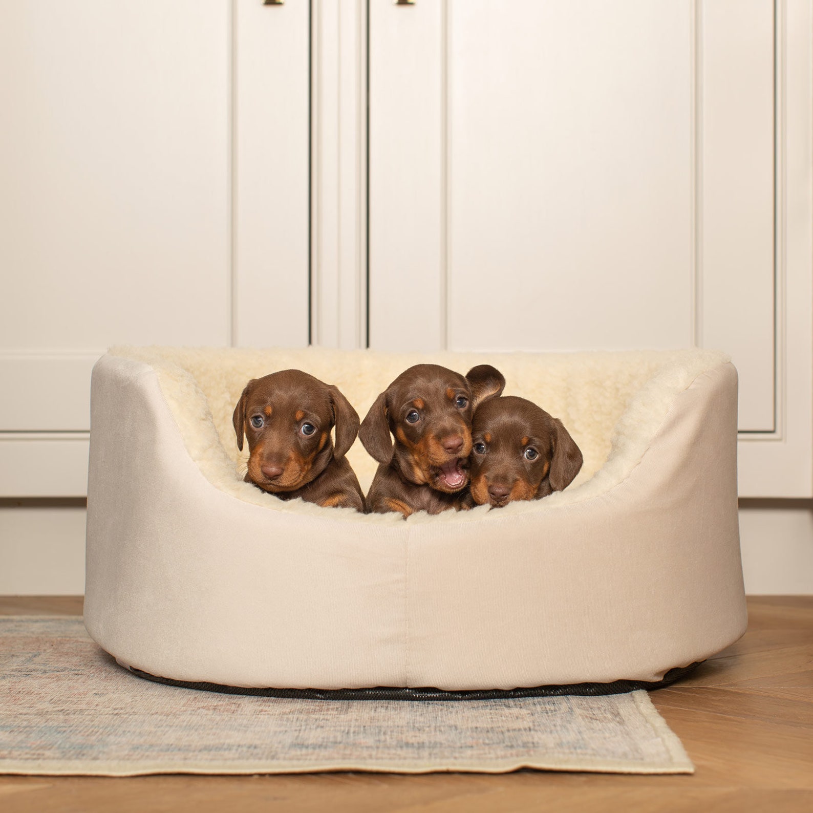 Lords & Labradors Luxury Grow With Me Dog Bed | Puppy's First Bed | the ...