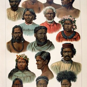 Australian & Pacific Islanders Original 1905 Chromo-lithograph by ...
