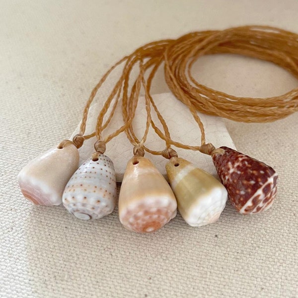 Cone Shell Jewelry - Etsy