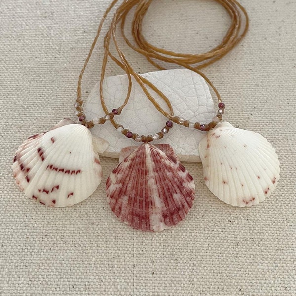Seashell Necklace - Etsy