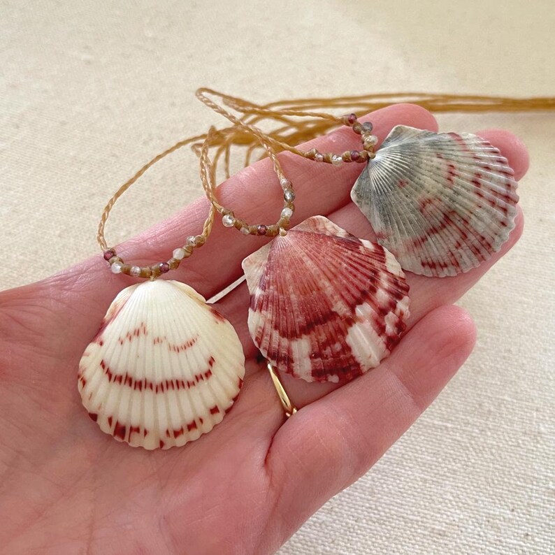 Seashell Beach Necklaces Beachy Jewelry for Women Shell - Etsy