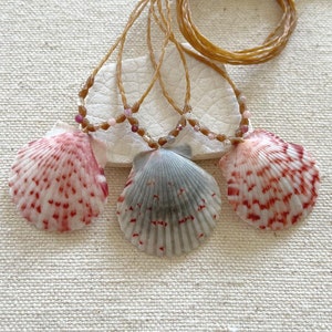Seashell Beach Necklaces, Beachy Jewelry for Women, Shell Necklace ...