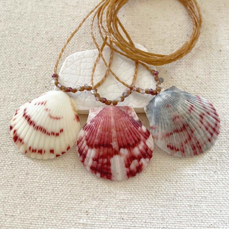 Seashell Beach Necklaces Beachy Jewelry for Women Shell - Etsy