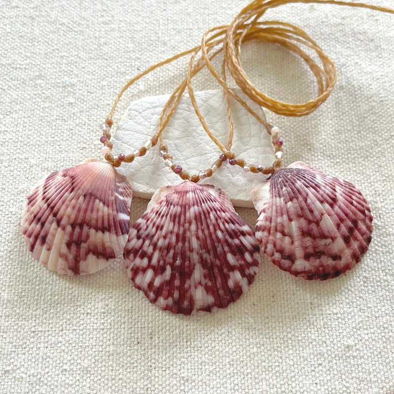 Real Seashell Necklace - Etsy