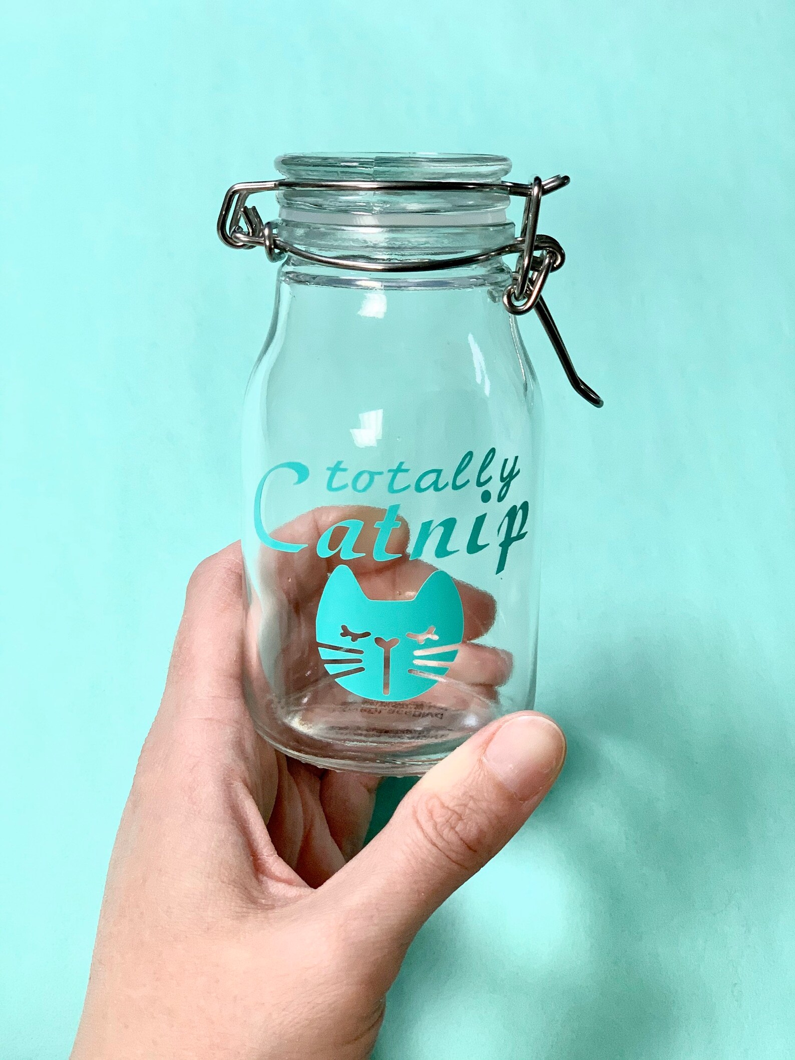 Totally Catnip Stash Jar Glass Cat Jar, 5.4 or 8.5 Oz Storage Jar, Weed ...