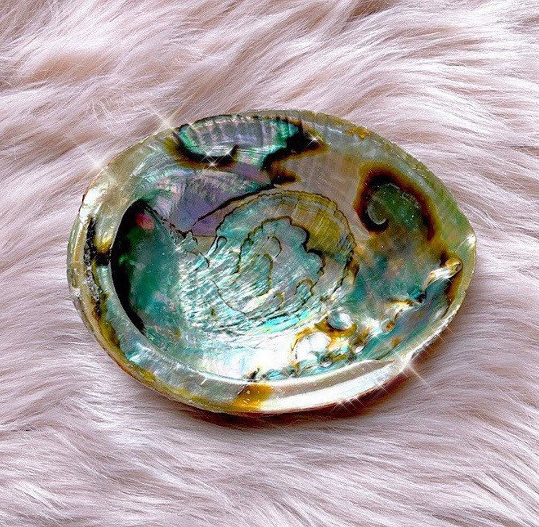 Large Abalone Shell, Smudge Bowl, Loose Herbs Smudge Bowl, Incense ...