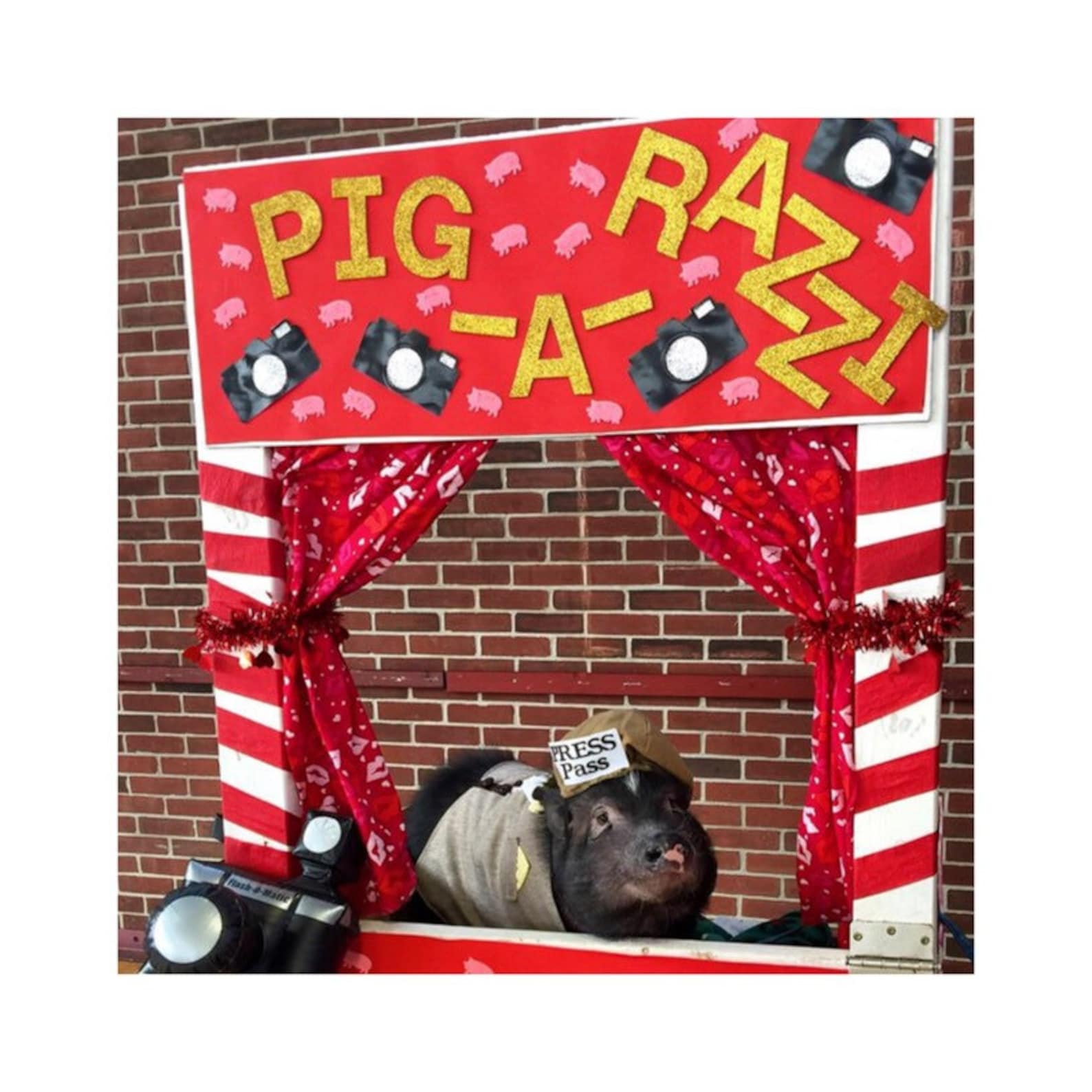 News Press Costume - Etsy