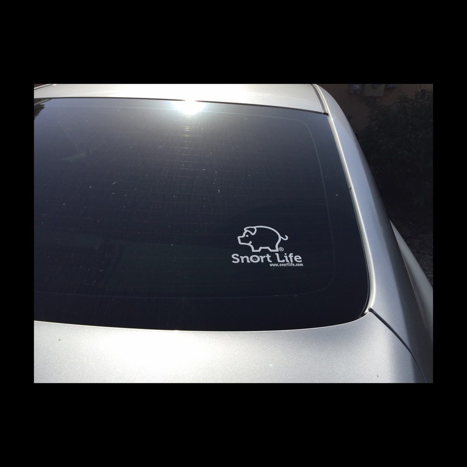 Snort Life Car Decal - Etsy