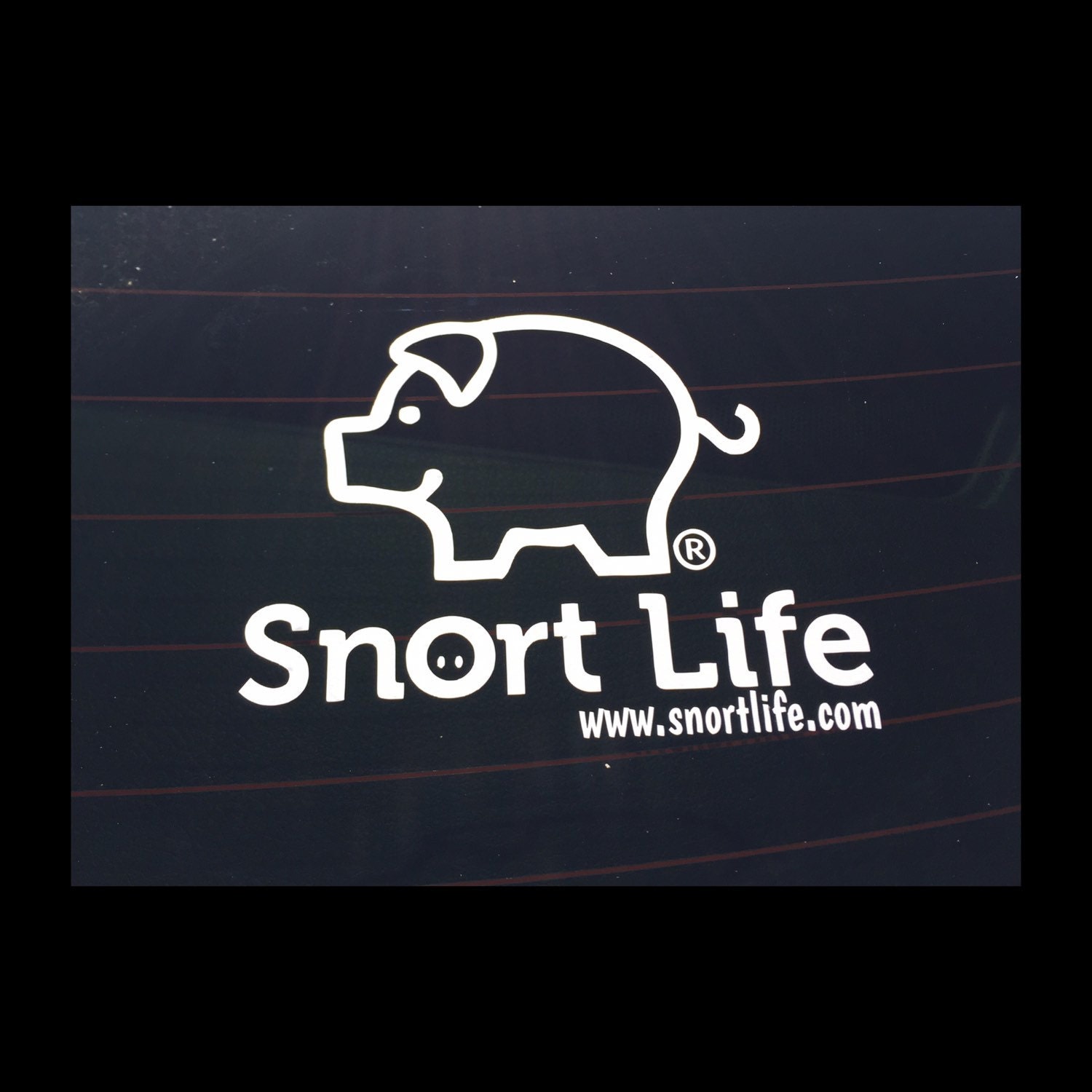 Snort Life Car Decal - Etsy
