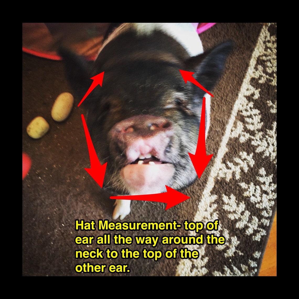 Sunday Best Pearl Wicker Hatready to Ship - Etsy