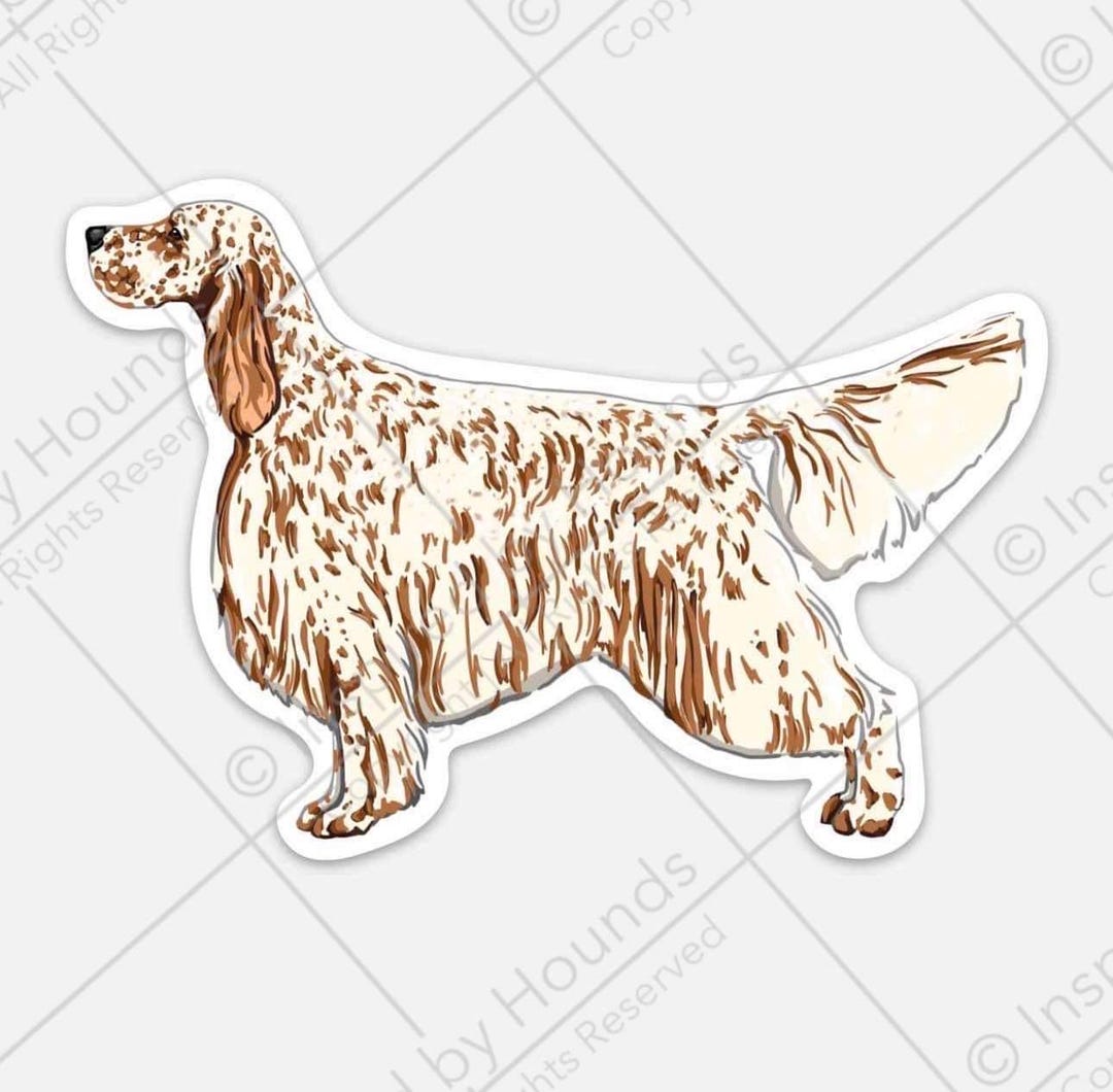 English Setter Sticker - Etsy