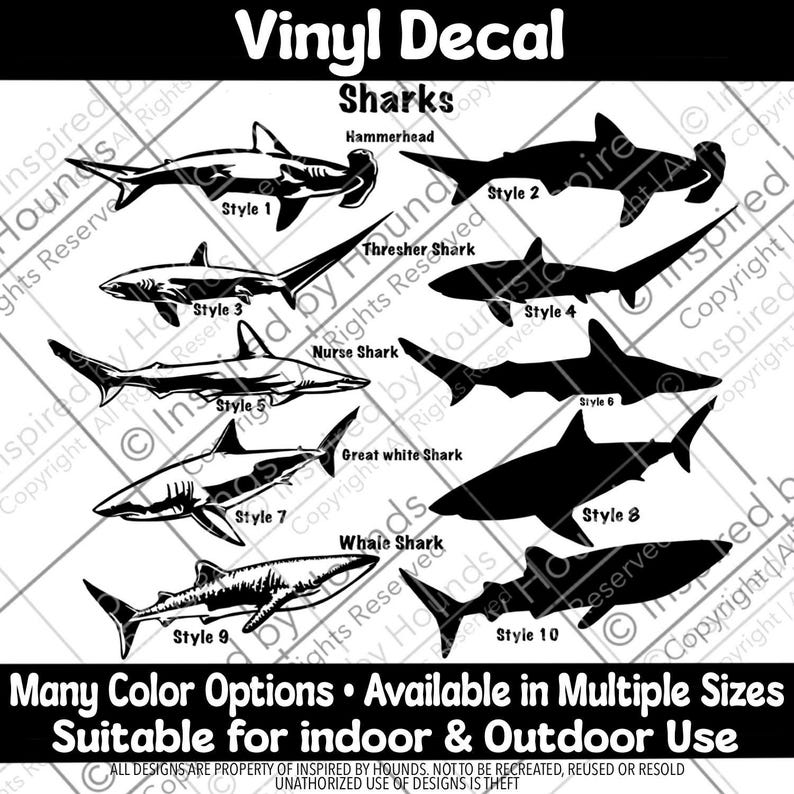Shark Vinyl Decal - Etsy UK