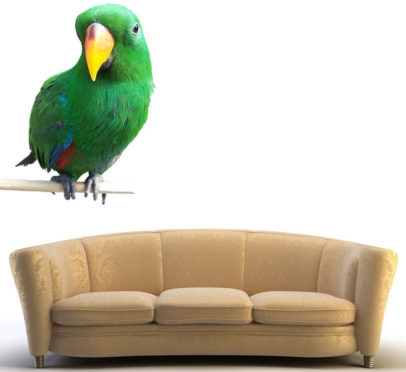 Parrot Wall Sticker Nursery Decor, Wildlife Parrot Wall Decal Removable ...