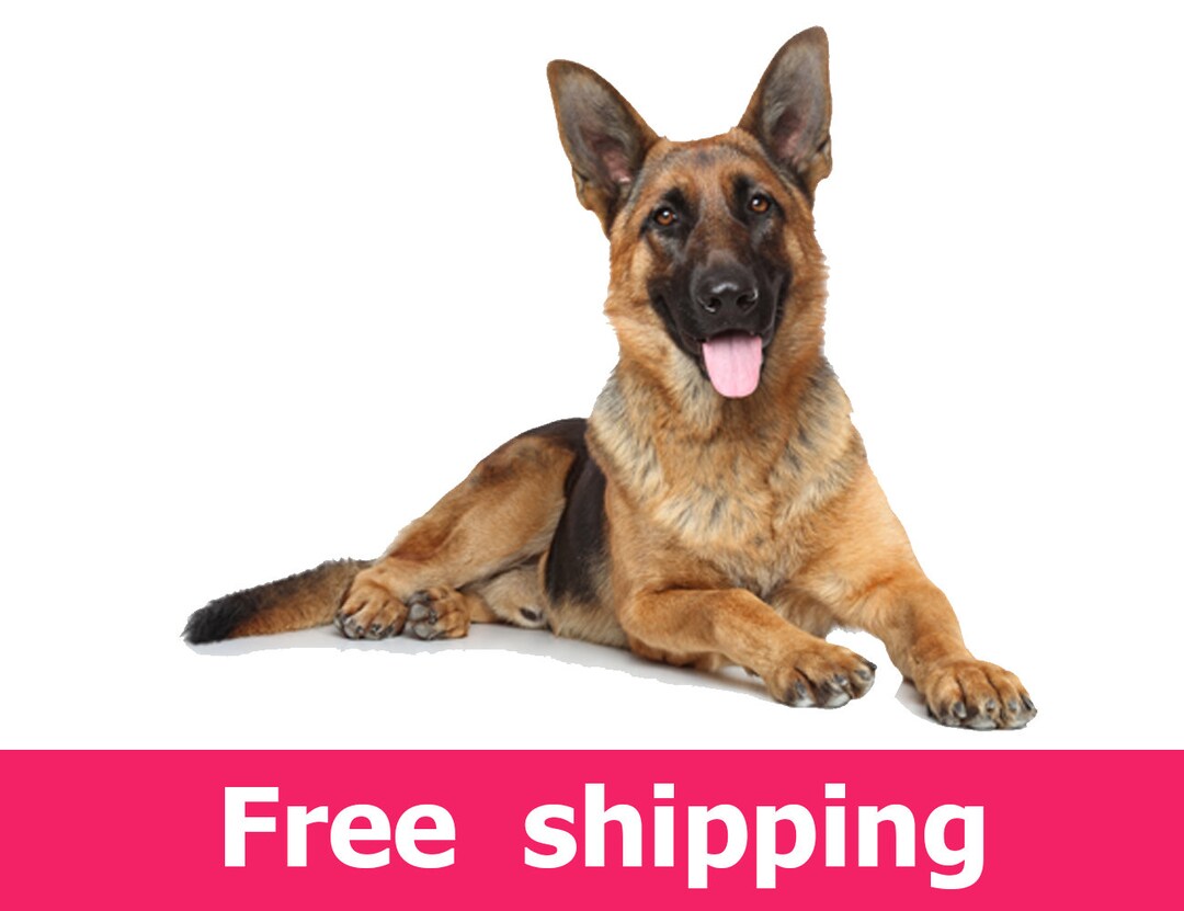 German Shepherd Dog Wall Decal Nursery Decor, Dog Wall Sticker ...