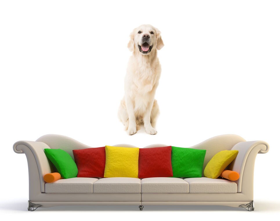 Labrador Dog Wall Decal Nursery Decor Labrador Dog Wall - Etsy