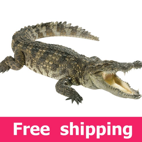 Crocodile Wall Decal Animal 3D Smashed Wall Art Sticker Kids - Etsy