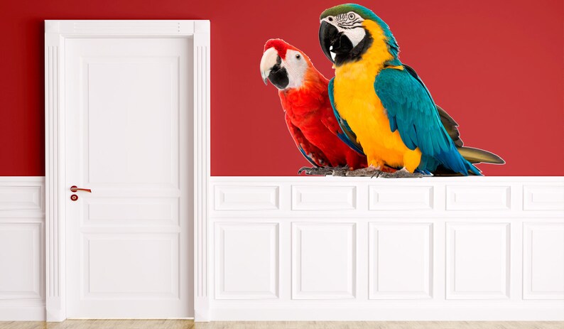 Macaw Parrot Wall Sticker Nursery Decor Wildlife Ara Ararauna - Etsy