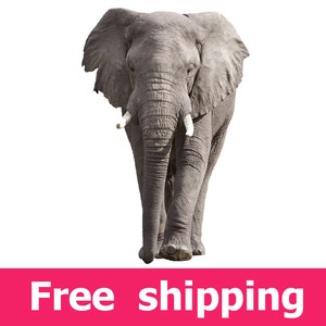 African Elephant Wall Sticker Nursery Decor Elephant Wall - Etsy
