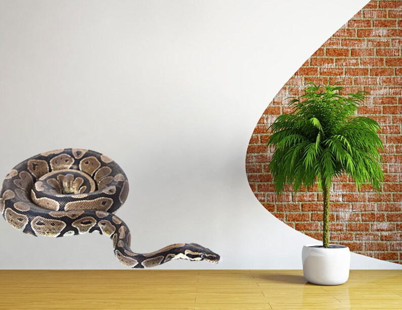 Royal Python wall decal snake wall sticker removable vinyl | Etsy