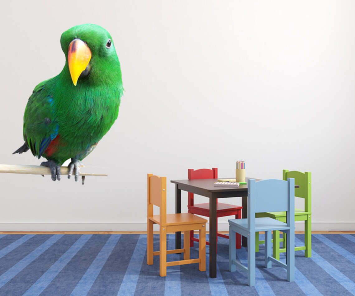 Parrot Wall Sticker Nursery Decor, Wildlife Parrot Wall Decal Removable ...