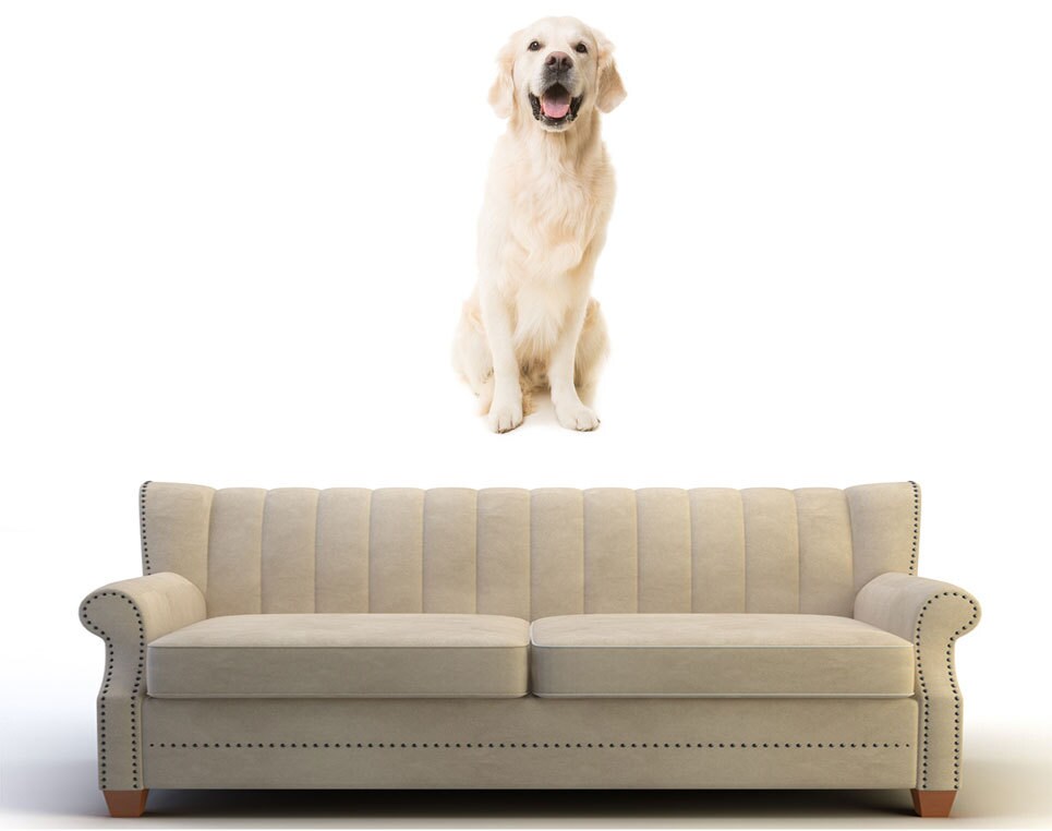 Labrador Dog Wall Decal Nursery Decor Labrador Dog Wall - Etsy