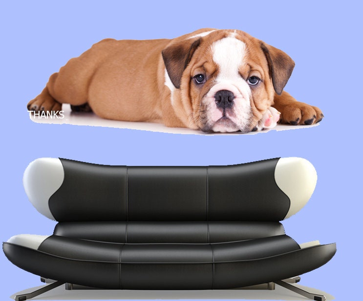 Puppy Wall Decal, Dog Sleeping Wall Sticker Removable Vinyl Animal ...