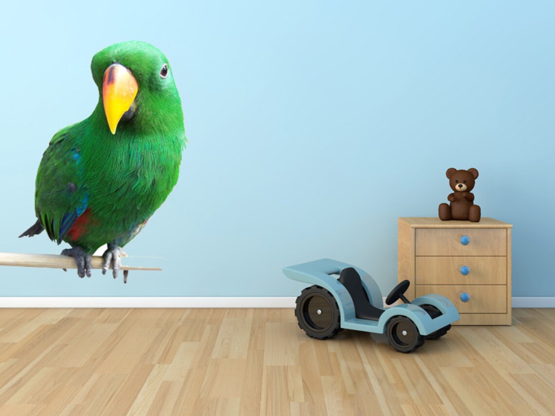 Parrot Wall Sticker Nursery Decor, Wildlife Parrot Wall Decal Removable ...