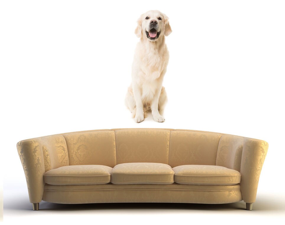 Labrador Dog Wall Decal Nursery Decor Labrador Dog Wall - Etsy