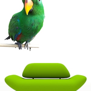 Parrot Wall Sticker Nursery Decor, Wildlife Parrot Wall Decal Removable ...