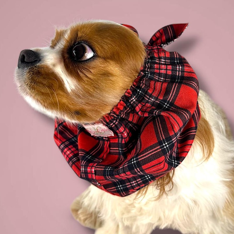 Cavalier Snood Ear Protection - Etsy