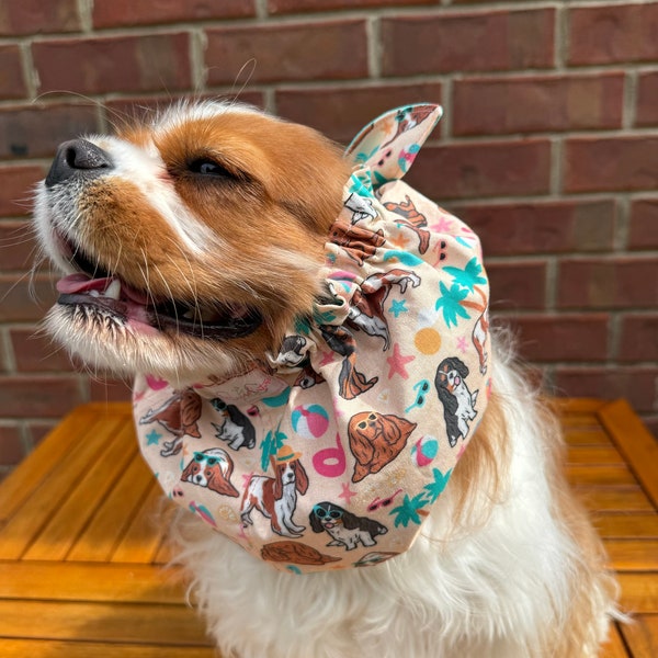 Cavalier Dog Snood - Etsy