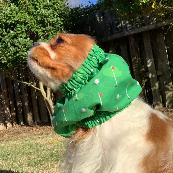 Cavalier Dog Snood - Etsy