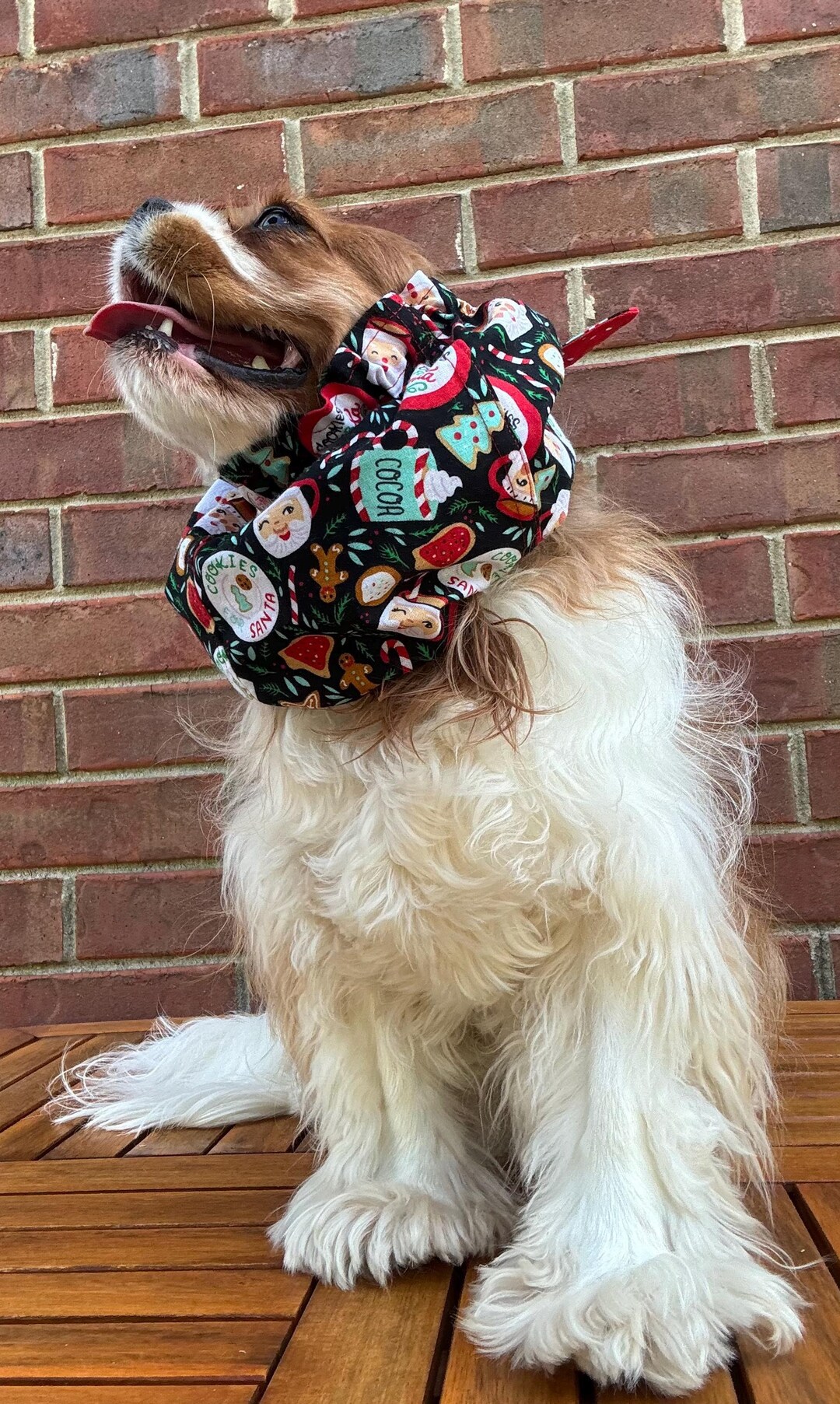 Anti-slip Cavalier Snood Long-eared Dog Snood Cavalier King Charles ...