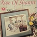 Paula Vaughan Cross Stitch Pattern Rose of Sharon Leisure Arts 776 ...
