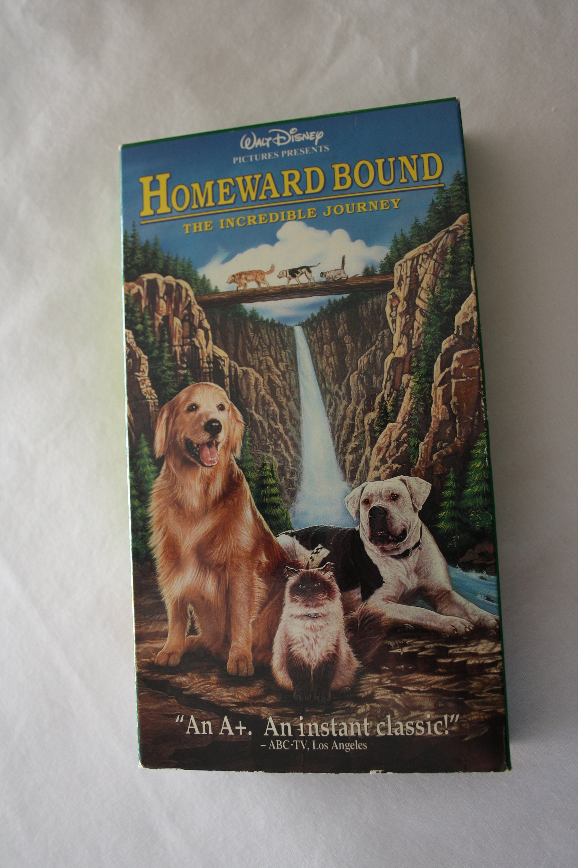 Homeward Bound Movie Poster