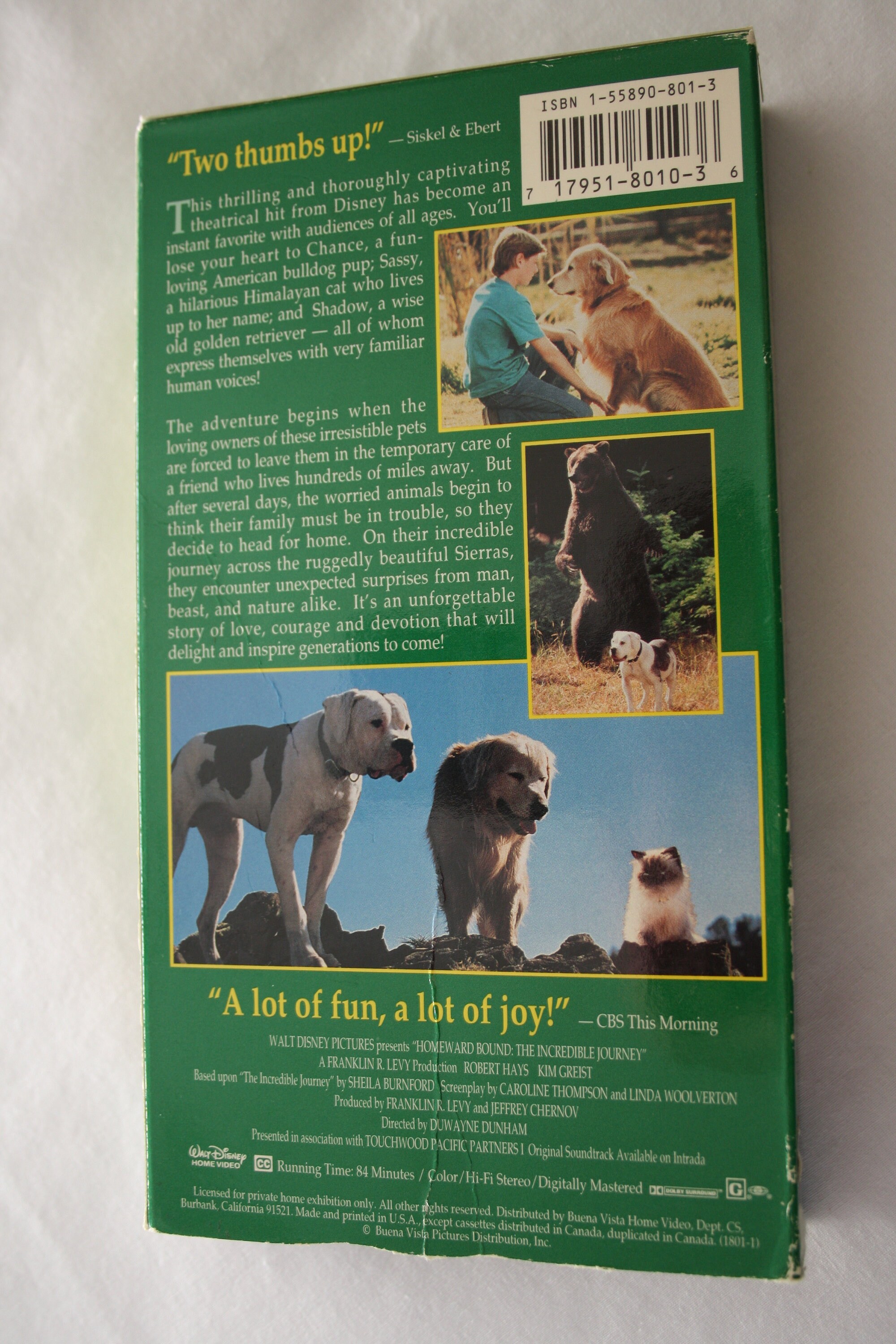 Homeward Bound The Incredible Journey Chance