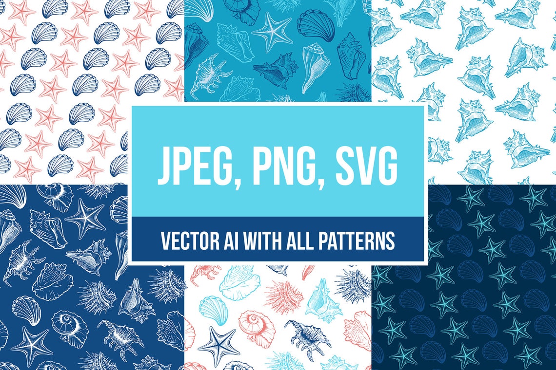 Seashell SVG and Seamless Patterns Vector Design Elements | Etsy