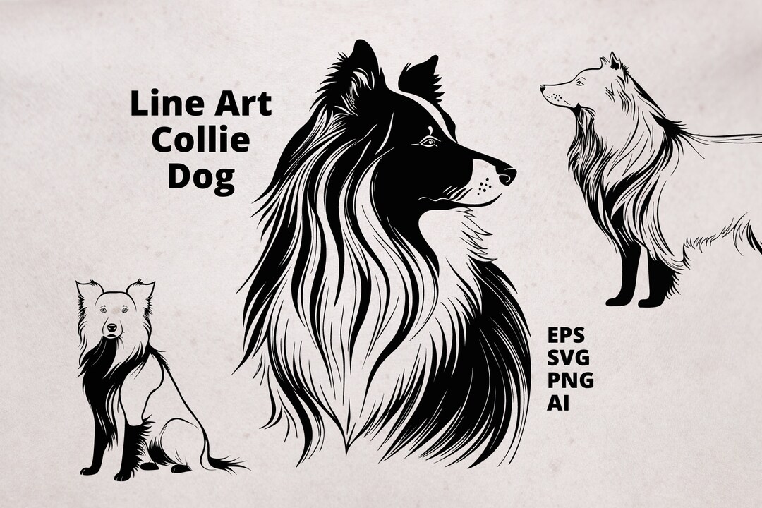 Collie Dog SVG Line Art Pet Vector Tattoo Sublimation PNG for T-shirt ...