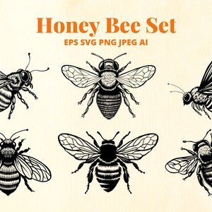 Honey Bee Clipart for Stickers and Bee Decal. Bee Printables Commercial ...