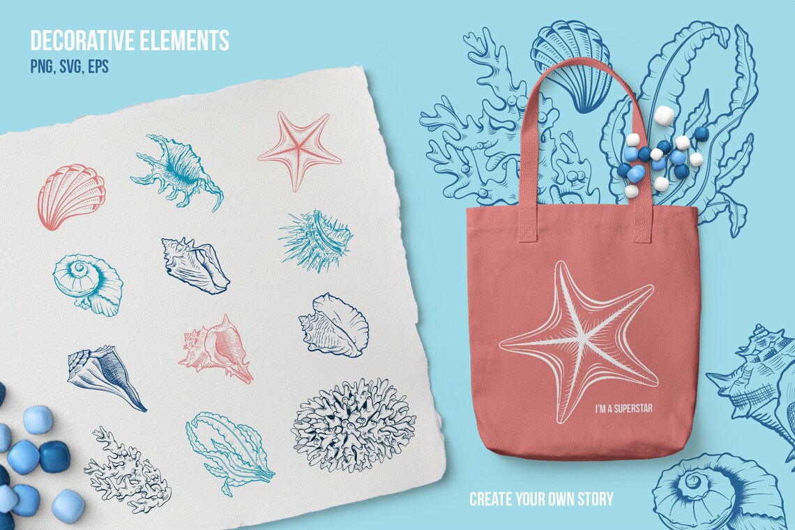 Seashell SVG and Seamless Patterns Vector Design Elements | Etsy