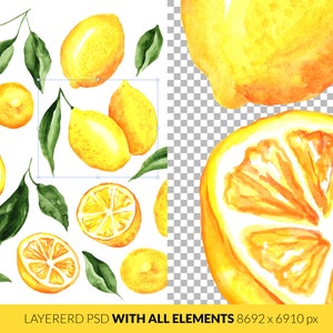 Watercolor Lemon Clipart. Clip Art Set: Design Elements, Seamless ...