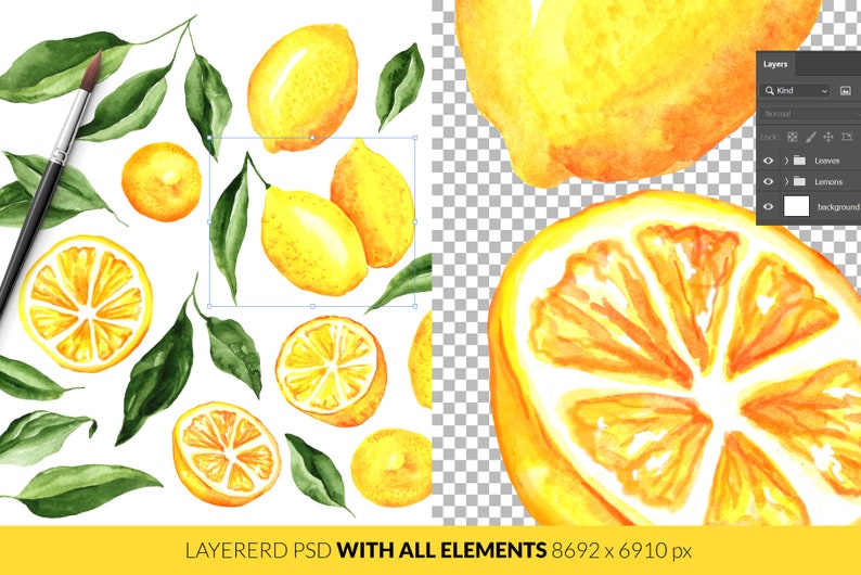 Watercolor Lemon Clipart. Clip Art Set: Design Elements | Etsy