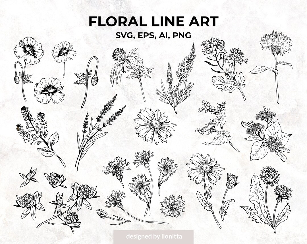 Floral Line Clip Art, Botanical Clipart, Hand Drawn Flower SVG, Line ...