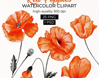 Poppy Flower Watercolor Clipart Set Floral Wreath Poppy - Etsy