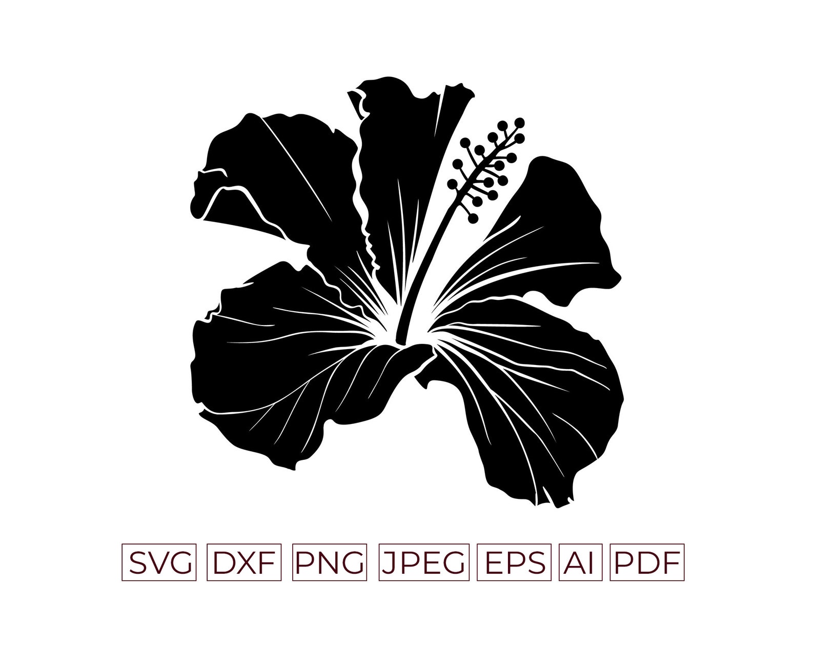Hibiscus SVG Flower SVG Instant Download - Etsy
