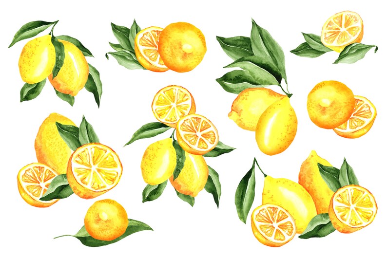Watercolor Lemon Clipart. Clip Art Set: Design Elements | Etsy